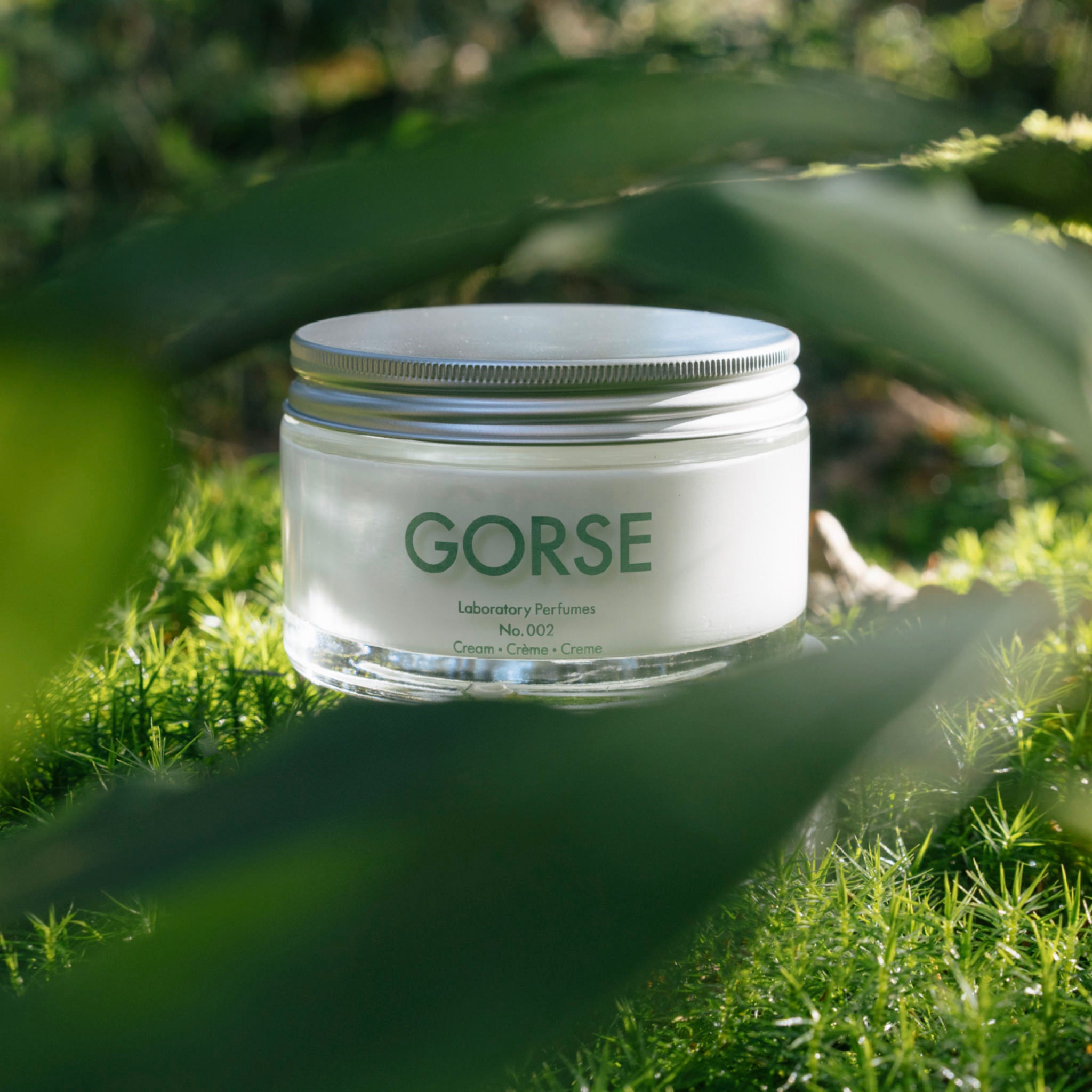 Gorse Cream (200ml) – Laboratory Perfumes